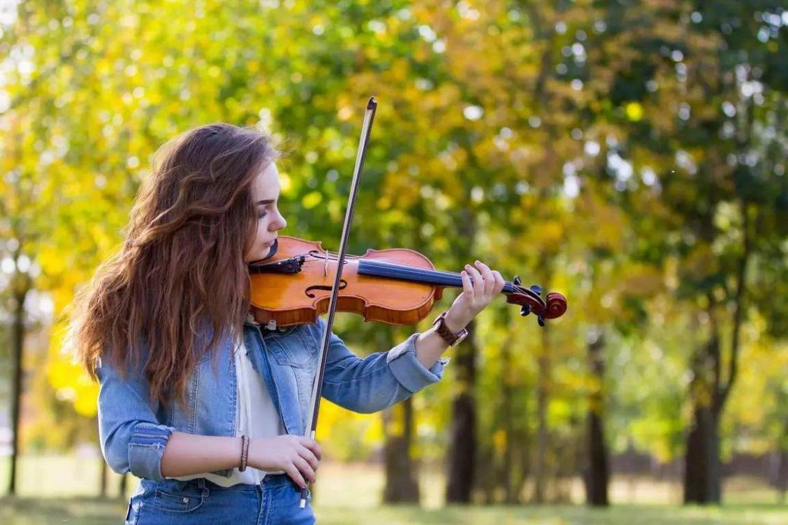 As seis melhores marcas de violino | Superprof