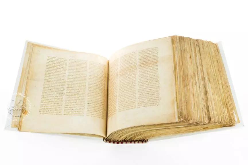 Quais os primeiros passos para aprender latim ? | Superprof